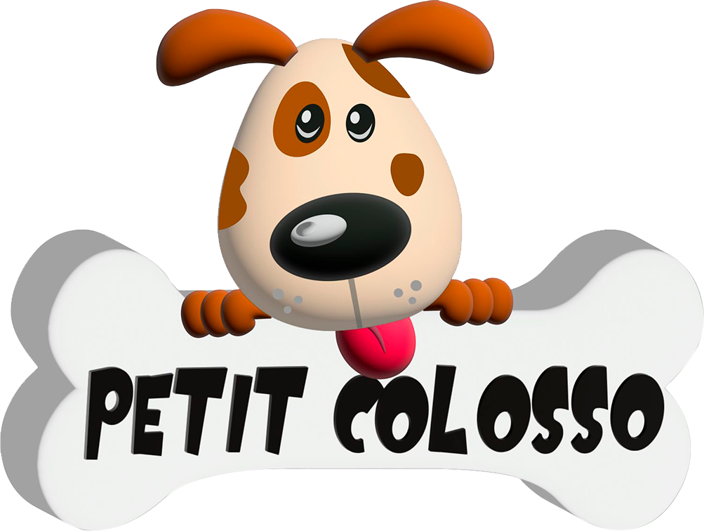 Clínica 03 – vet bertioga – Petit Colosso